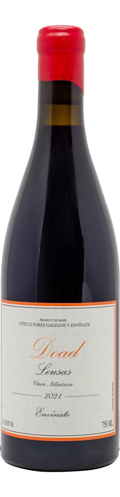2021 Envinate Ribeira Sacra Lousas Parcela Doad 750ml – SommPicks